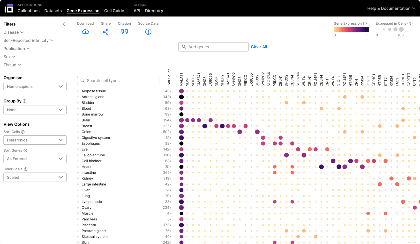 CZ CELLxGENE Discover - Cellular Visualization Tool